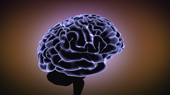 Fast Brain Activity, Motion Graphics | VideoHive