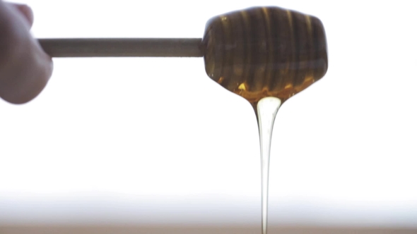 Hand Holding Dipper With Pouring Honey 7, Stock Footage | VideoHive