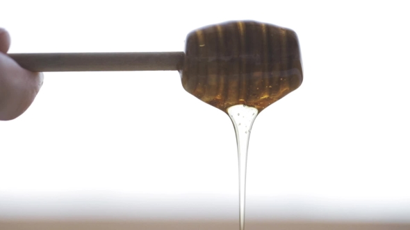 Hand Holding Dipper With Pouring Honey 8, Stock Footage | VideoHive