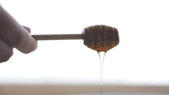 Hand Holding Dipper With Pouring Honey 6, Stock Footage | VideoHive