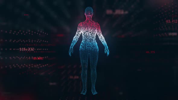 Female Body HUD UI Scan, Motion Graphics | VideoHive