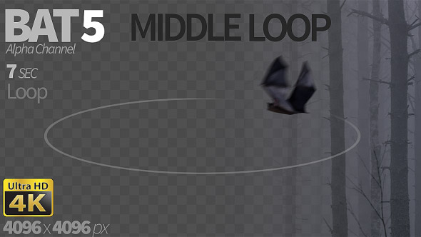 Bat 5, Motion Graphics | VideoHive