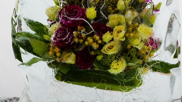 Frozen Flowers. Creative Abstract Bright Flowers And Ice With Air ...