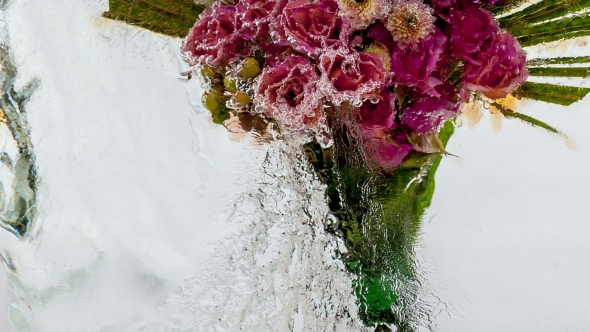Frozen Flowers. Creative Abstract Bright Flowers And Ice With Air ...