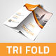 Tagline Tri-fold Brochure, Print Templates | GraphicRiver
