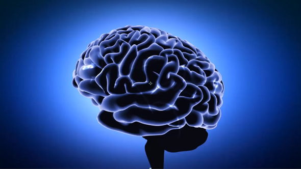 Thinking Blue Brain in Action, Motion Graphics | VideoHive