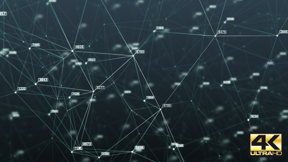 Plexus Network, Motion Graphics | VideoHive
