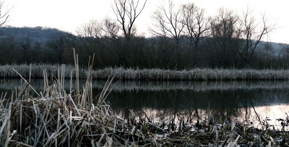 Grey Lake 5, Stock Footage | VideoHive