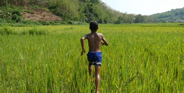 Poverty Boy Running In Grass, Stock Footage | VideoHive