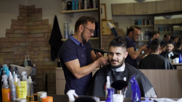 Getting Groomed, Stock Footage | VideoHive