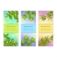 Three Vertical Branch Banners , Vectors | GraphicRiver