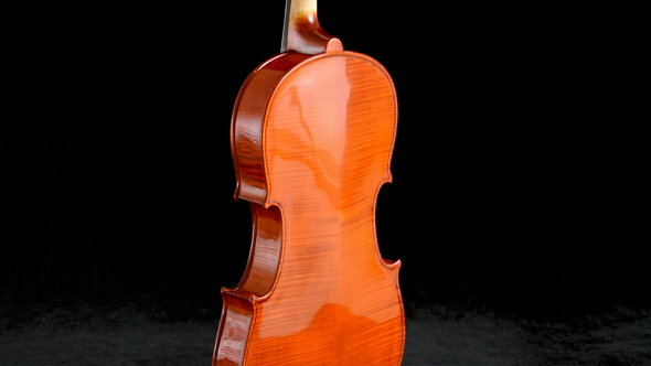 Viola Body Backside Gyrating, Stock Footage | VideoHive