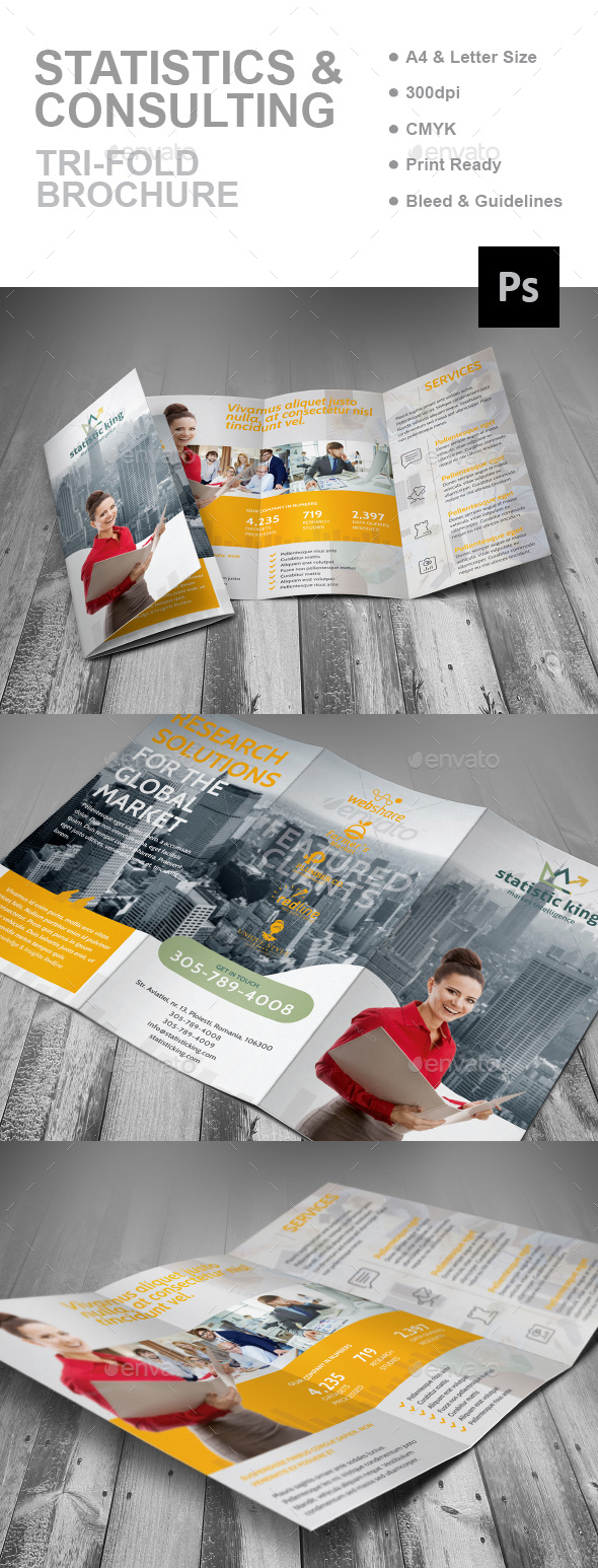 Statistics And Consulting Trifold Brochure by floringheorghe | GraphicRiver