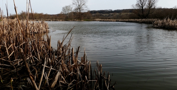 Grey Lake 12, Stock Footage | VideoHive