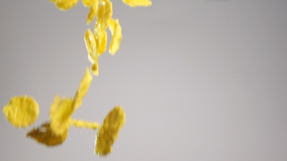 Cornflakes Drop On White Background, Stock Footage | VideoHive