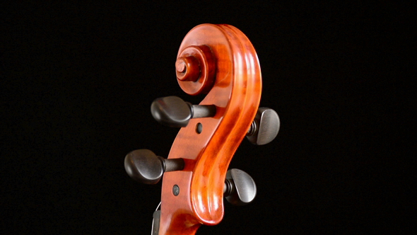 Viola Scroll Gyrating, Stock Footage | VideoHive