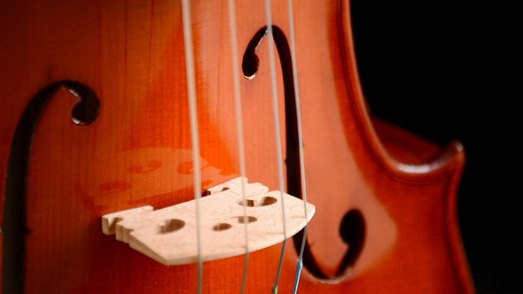 Viola Detail Gyrating, Stock Footage | VideoHive