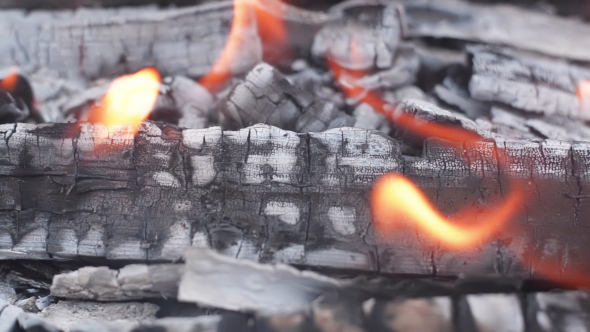 Burning log, Stock Footage | VideoHive