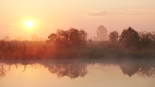 Fog, Stock Footage | VideoHive