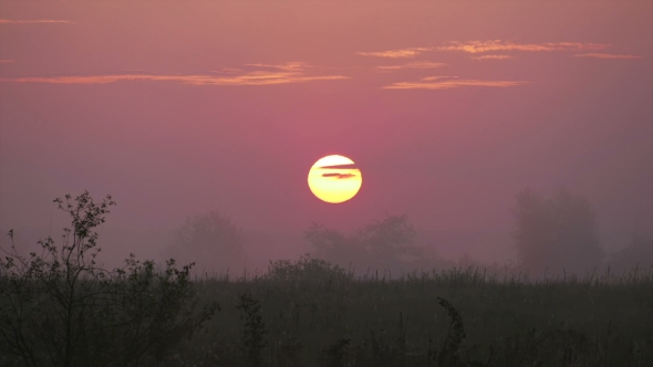 Morning, Stock Footage | VideoHive