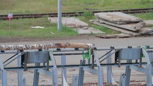 Wheel Loader And Automatic Sorting Logs Diameter, Stock Footage | VideoHive