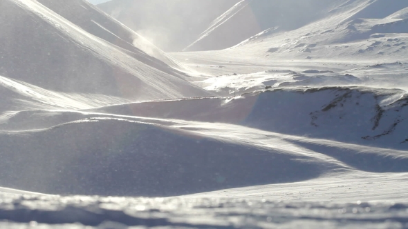 Blizzard And Blowing Snow In Strong Winds , Stock Footage | VideoHive