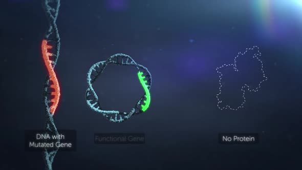 mutations can result from DNA copying mistakes made during cell ...