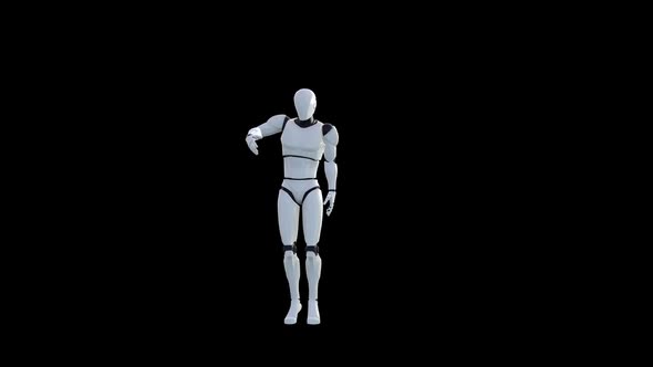 Robo Dance, Motion Graphics | VideoHive