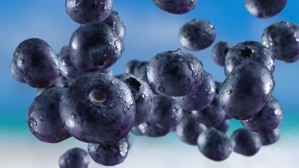 Flying of Blueberries in Sky Background, Stock Footage | VideoHive