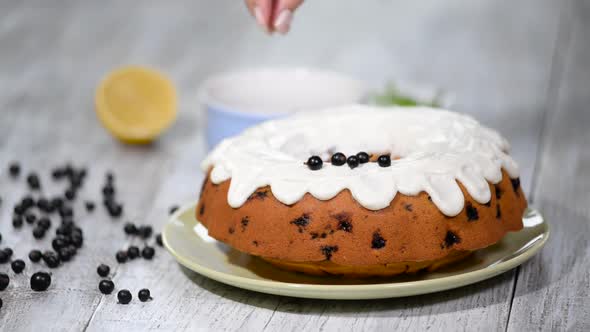 Decorating the cake with black currant, Stock Footage | VideoHive