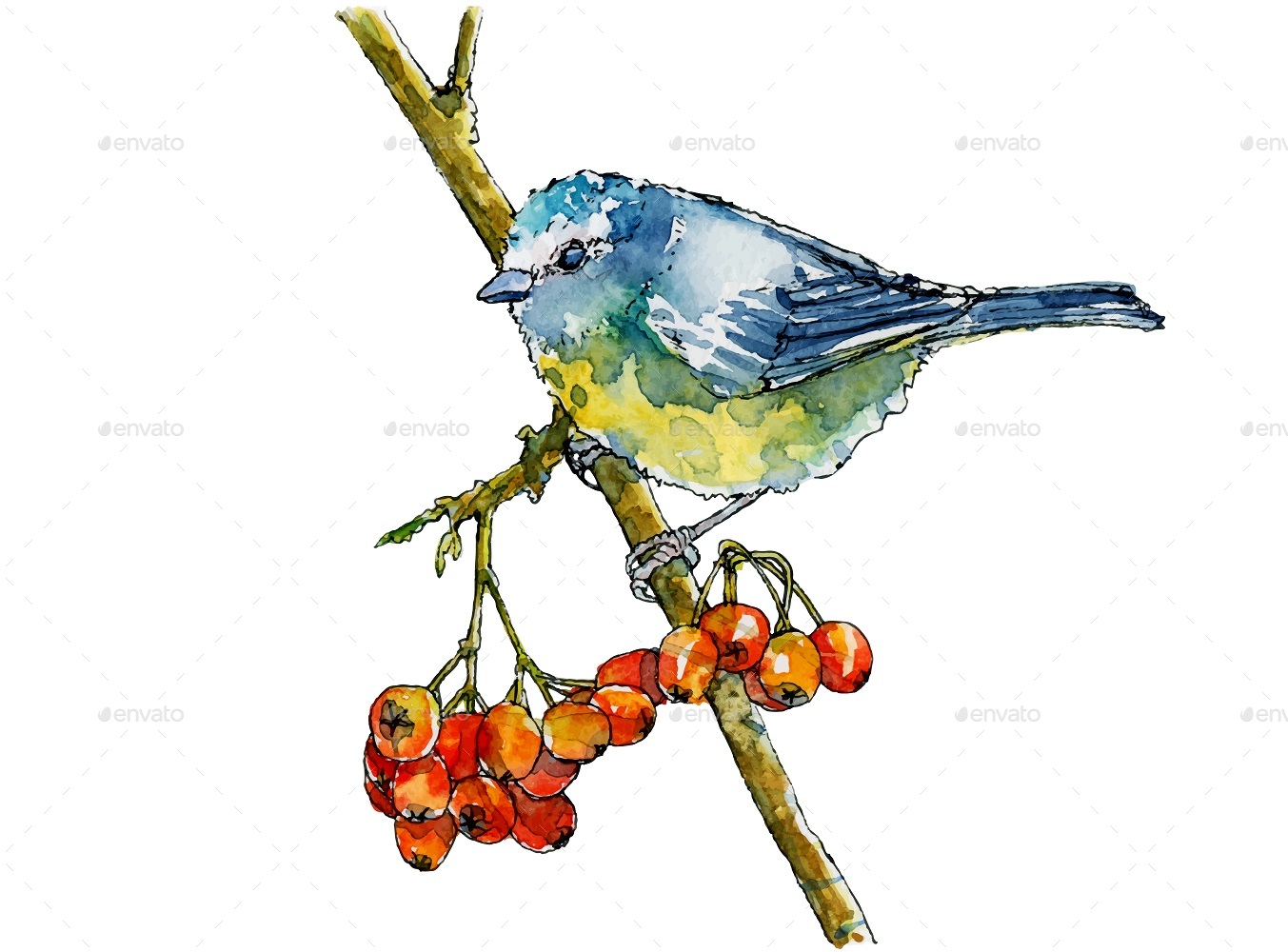 Birds on trees (Watercolor and Ink, Vector and Raster), Graphics ...