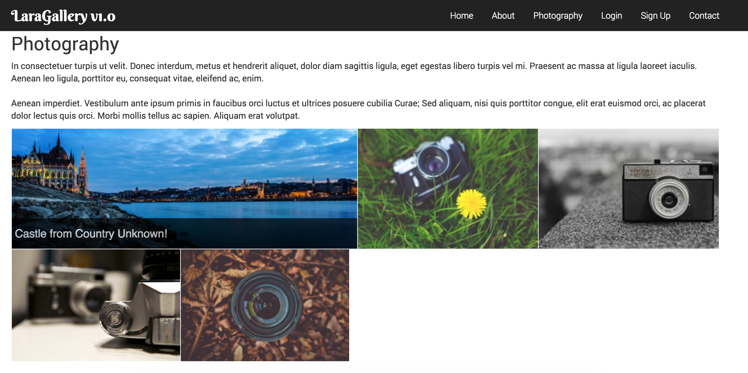 LaraGallery - Image Gallery Script by crivion | CodeCanyon