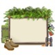 Vector Jungle Camping Frame, Vectors | GraphicRiver