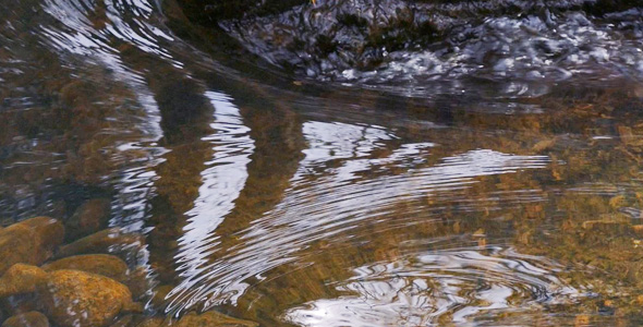 Spring Water Stream - 02, Stock Footage | VideoHive
