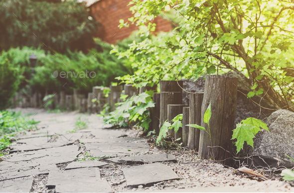 Landscape design, evergreen bushes and path Stock Photo by Prostock-studio