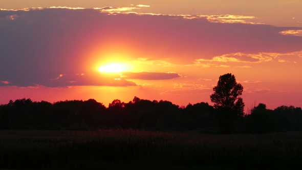 Sunset, Stock Footage | VideoHive