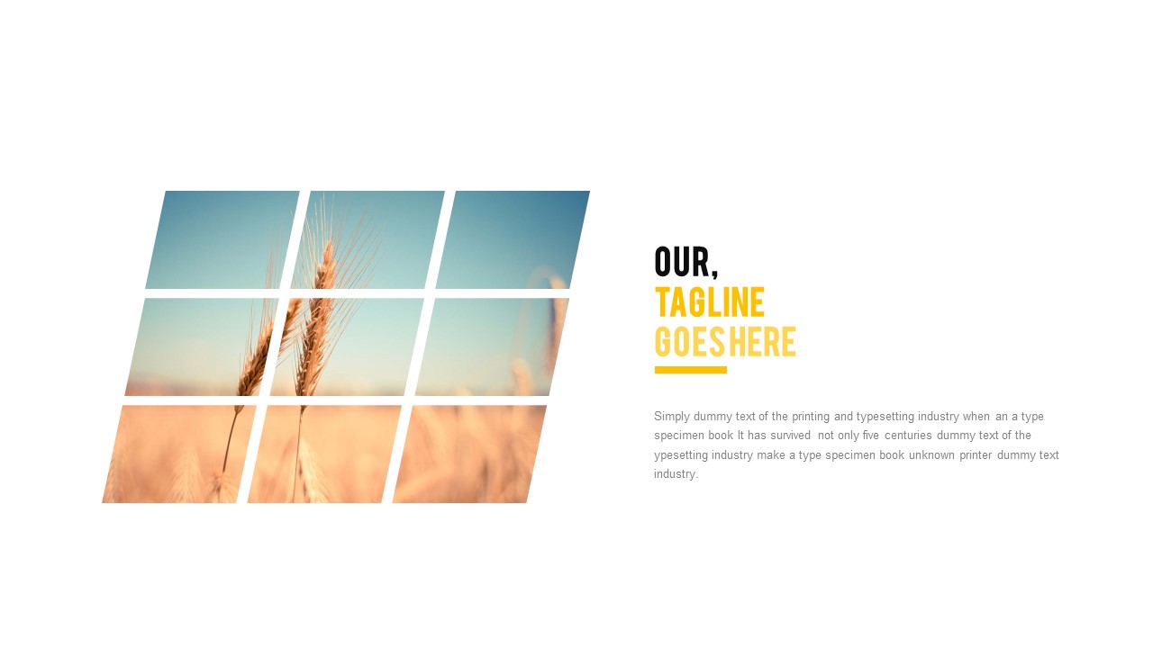 Shine Powerpoint Presentation , Presentation Templates | GraphicRiver