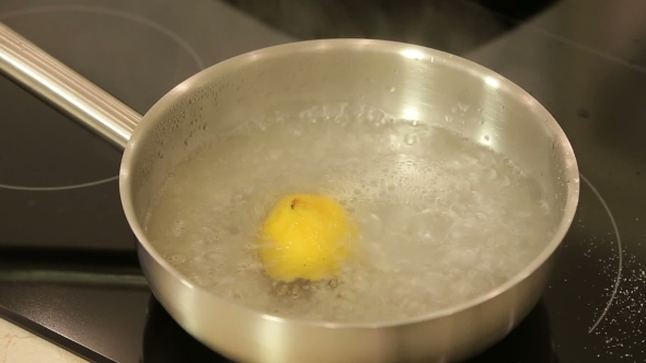 Boiling Baby Octopus, Stock Footage | VideoHive