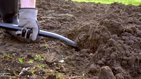 The Slow Motion of the Digging of a Soil, Stock Footage | VideoHive