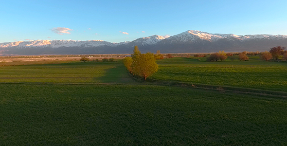 Field , Stock Footage | VideoHive