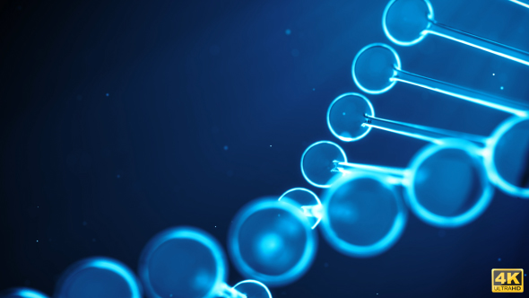 DNA Background, Motion Graphics | VideoHive