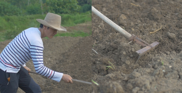 Rake Being Used On The Soil, Stock Footage | VideoHive