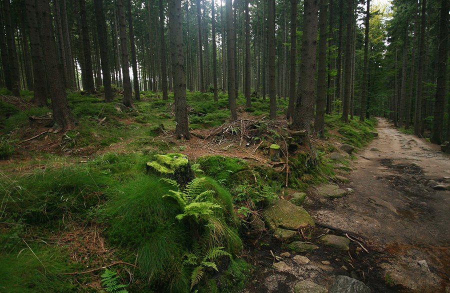 Dramatic Filters, Add-ons | GraphicRiver