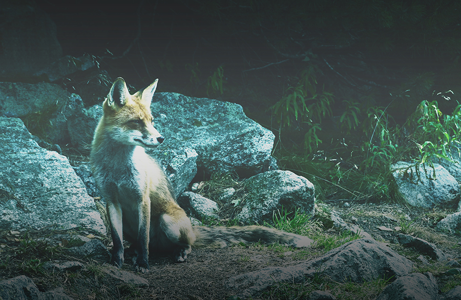 Dramatic Filters by haikhow | GraphicRiver