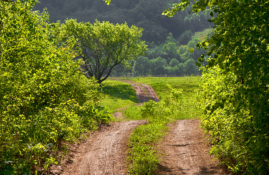 Dramatic Filters, Add-ons | GraphicRiver