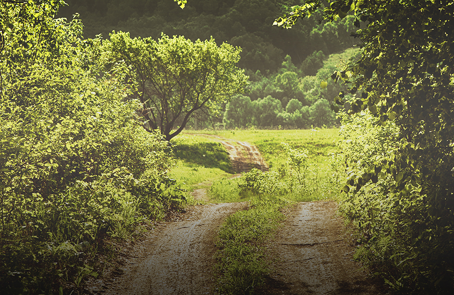 Dramatic Filters, Add-ons | GraphicRiver