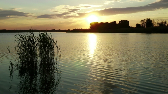 Evening Landscape, Stock Footage | VideoHive