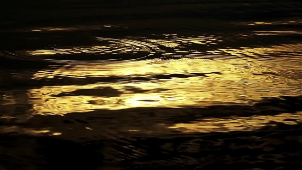 Golden Water Light, Stock Footage | VideoHive
