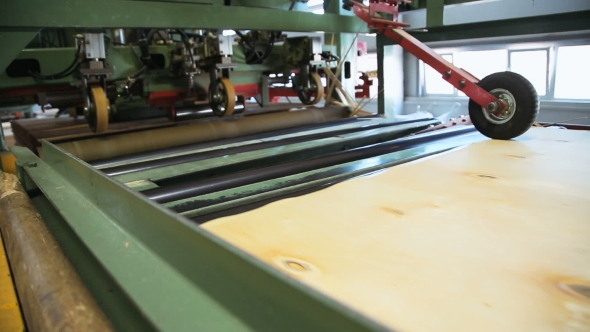 Manufacturing Process Of Plywood by Aeroshot | VideoHive