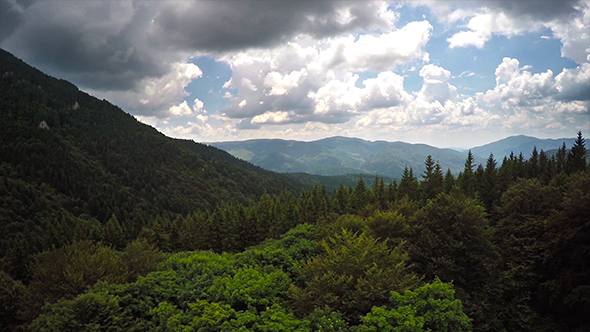 Over the Wild Forest With Spectacular Clouds, Stock Footage | VideoHive